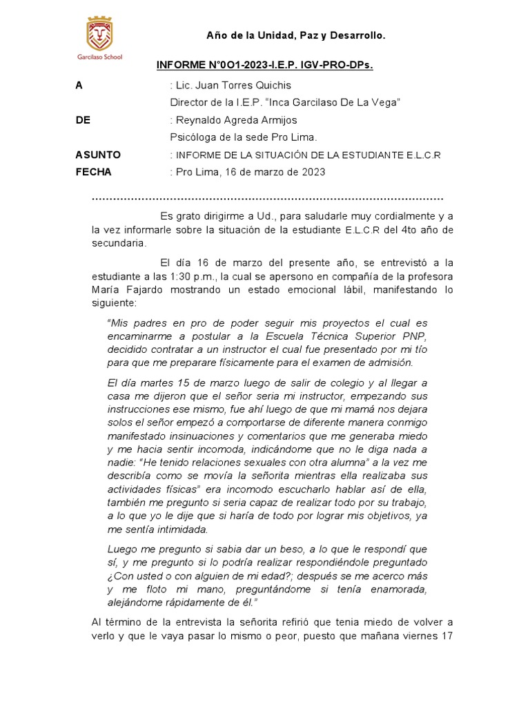 Modelo de Reporte Informativo | PDF