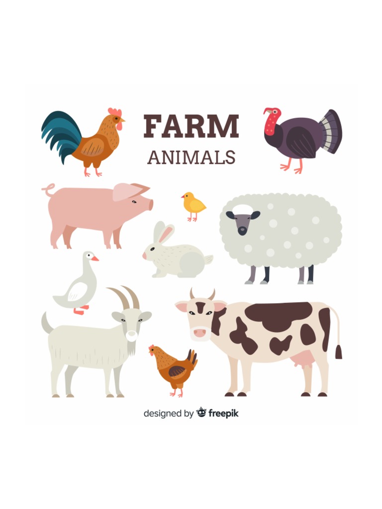 Animales De La Granja Pdf