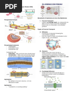 Cell Transport Concept-Map | PDF | Membrane Biology | Life Sciences