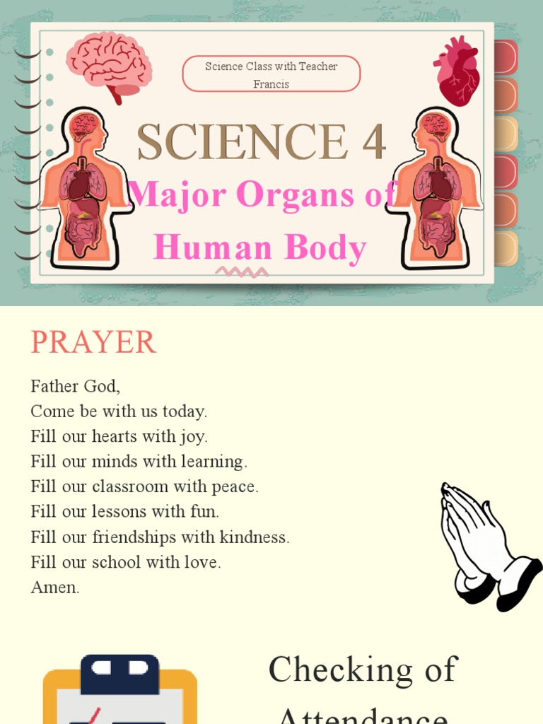 Organs and Parts of the Body | PDF | Human Body | Heart