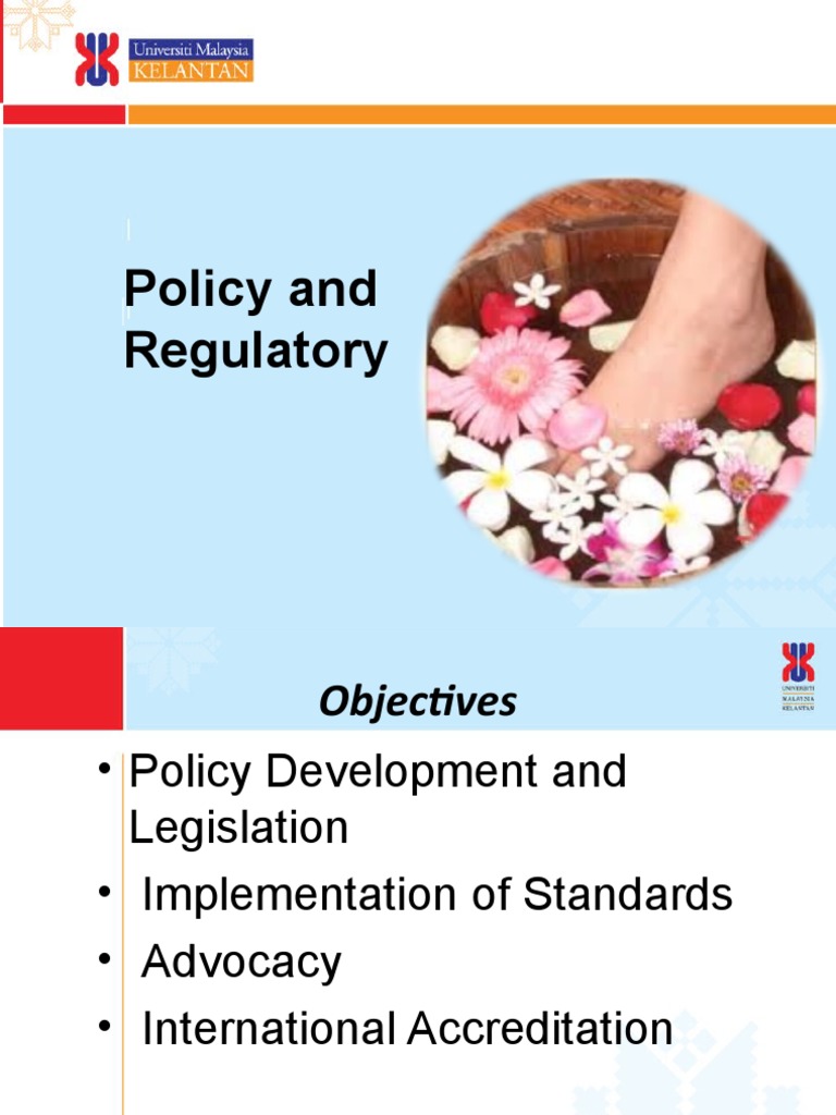 CHAPTER 2 Policy Regulatory | PDF