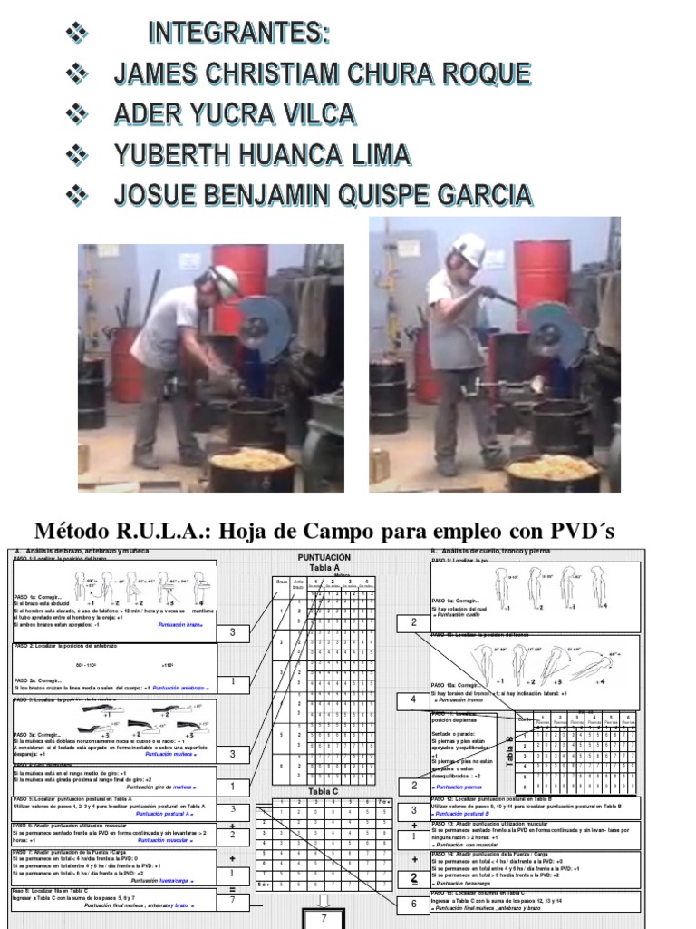 RULA Hoja de Campo | PDF