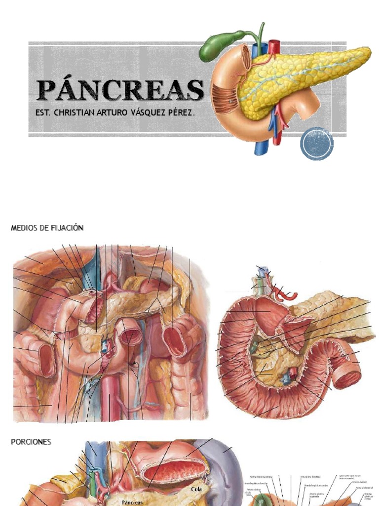 PÁNCREAS | PDF