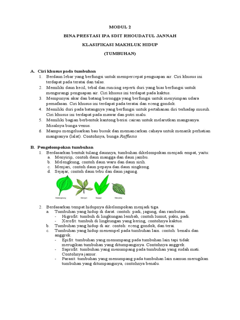 MODUL 2 Klasifikasi Tumbuhan | PDF | Sains & Matematika
