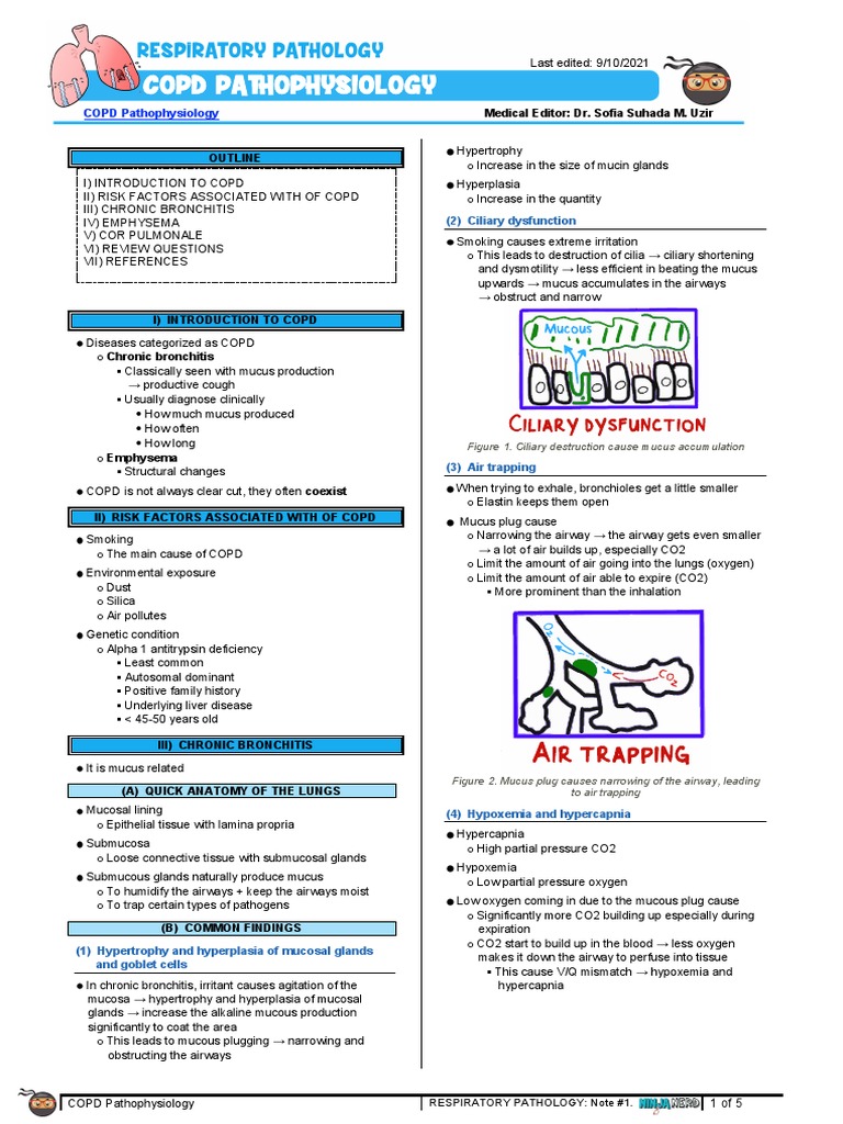 241 - Respiratory Pathology) COPD - Pathophysiology | PDF | Respiratory ...