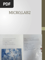 Respiratory Physiology) 09 External Respiration 1) - Handout | PDF