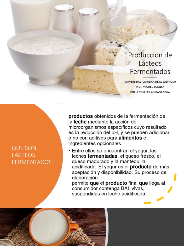 Presentacion Lacteos | PDF | Yogur | Queso