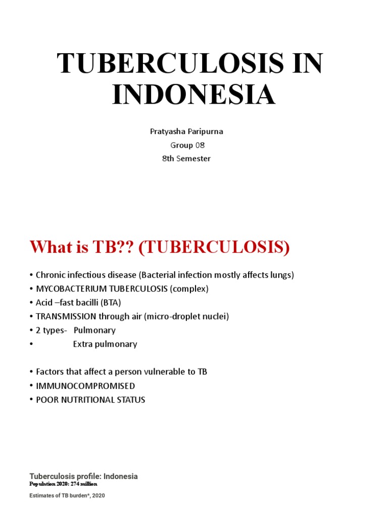 Tuberculosis in Indonesia | PDF