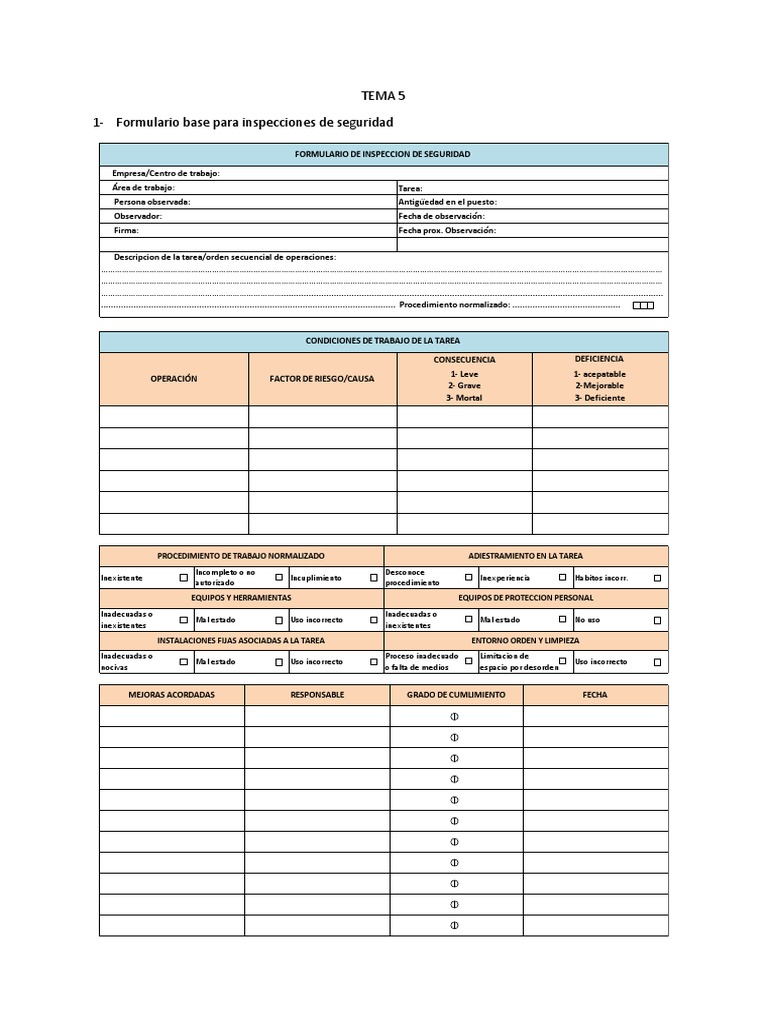 Tema 5 - Formulario de Inspeccion de Seguridad - Seguridad III | PDF