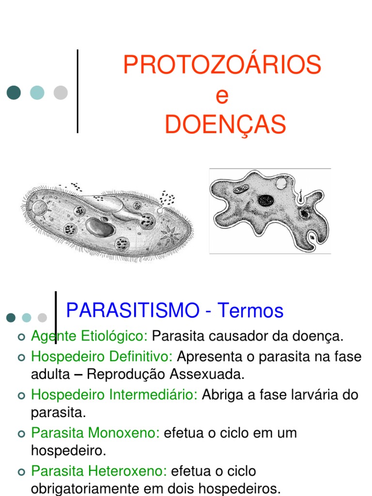 Aula 02 Parasitologia Protozoarios | PDF | Malária | Plasmodium