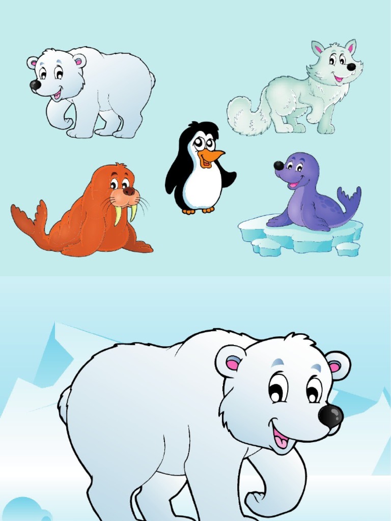 Animale Polare Imagini | PDF
