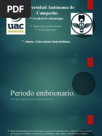 Morfogénesis Atm. | PDF | Articulación | Cartílago