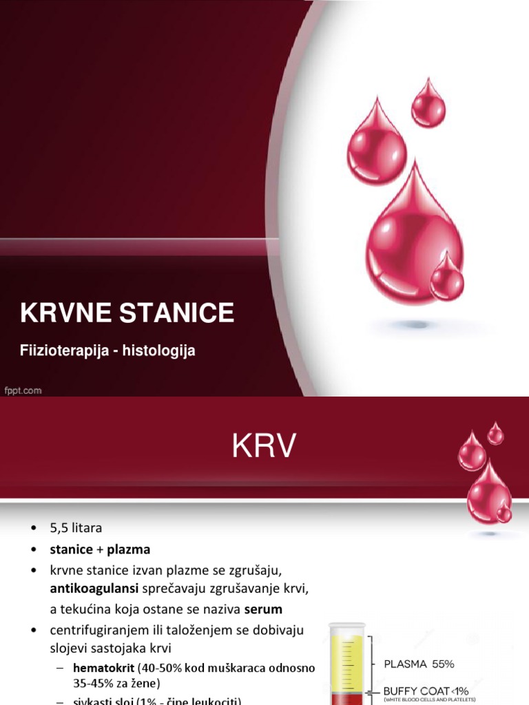 H6 - Krvne Stanice | PDF