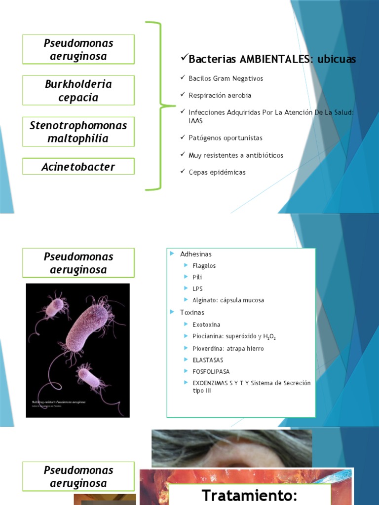 Bacterias Ambientales Multiresistentes | PDF | Pseudomonas ...