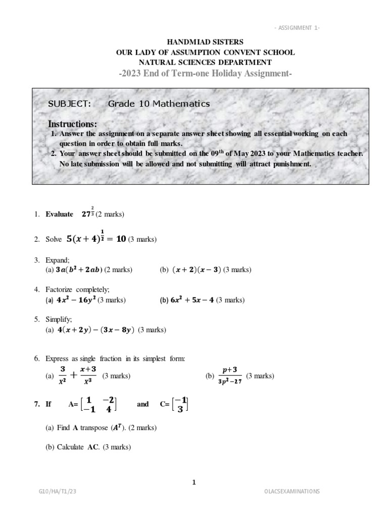 Grade 10 Math Holiday Assignment | PDF | Mathematics