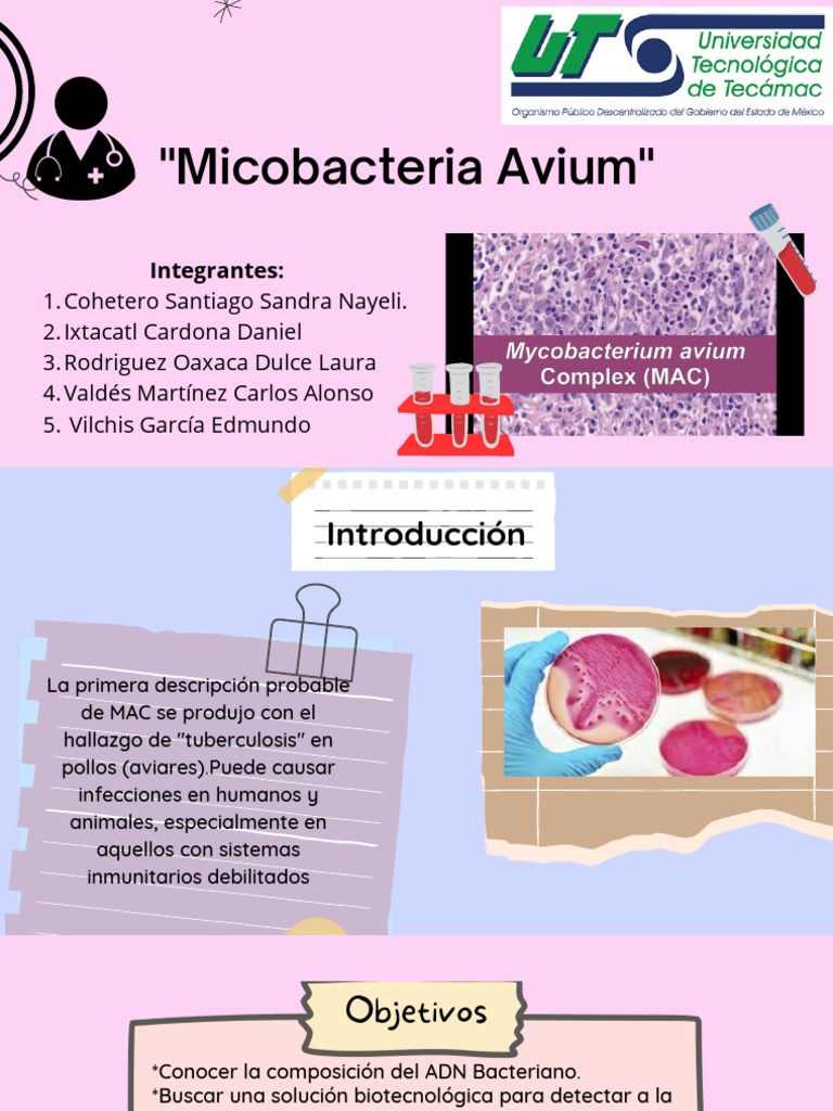 Avium | PDF | Mycobacterium | Las bacterias