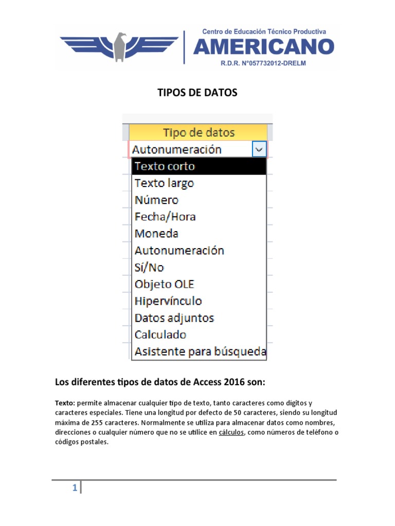 Tema 3 de Access - Establecer Los Tipos de Datos | PDF | Archivo de computadora | Bases de datos