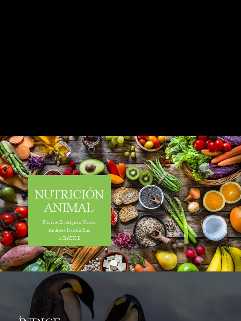 Nutrición Animal | PDF