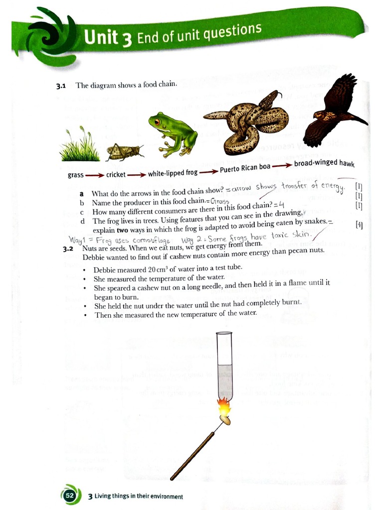Science Coursebook End of Unit Questions All | PDF