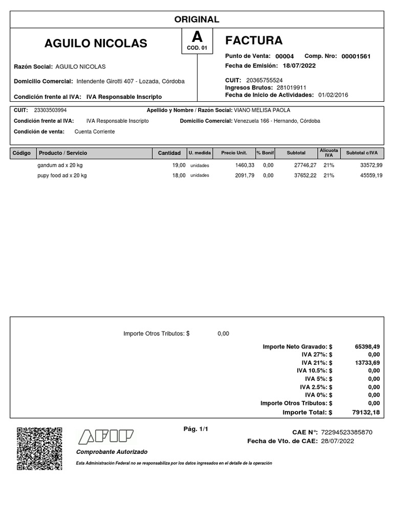 Ejemplo Factura A | PDF