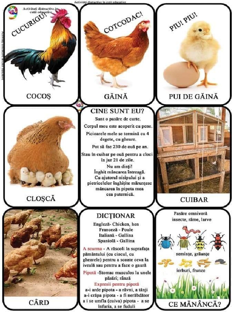 Fise Curiozități Animale | PDF