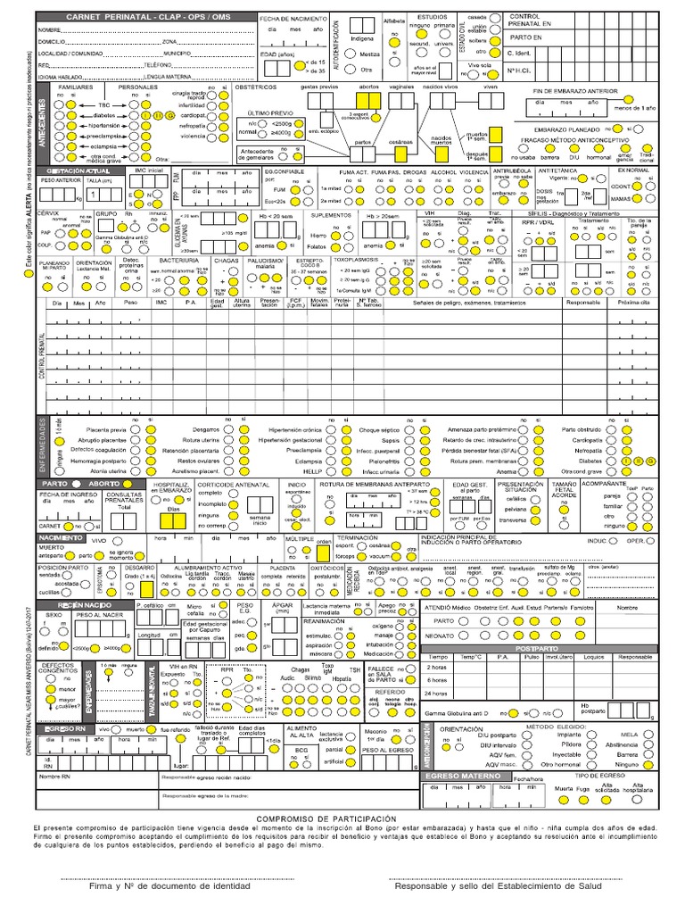 Carnet Perinatal | PDF | Parto | El embarazo