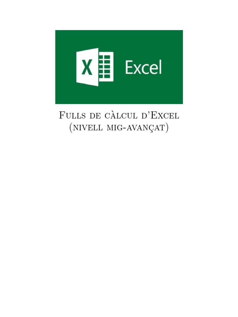 Curs Bàsic D'excel | PDF