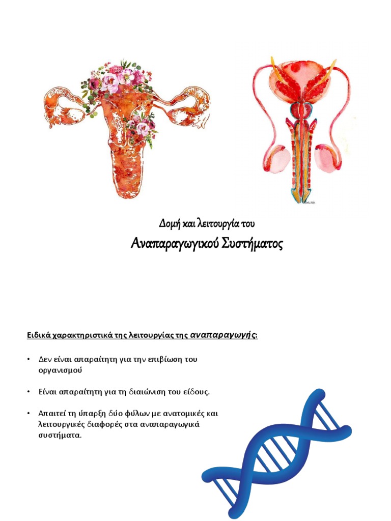 Αναπαραγωγικό σύστημα | PDF