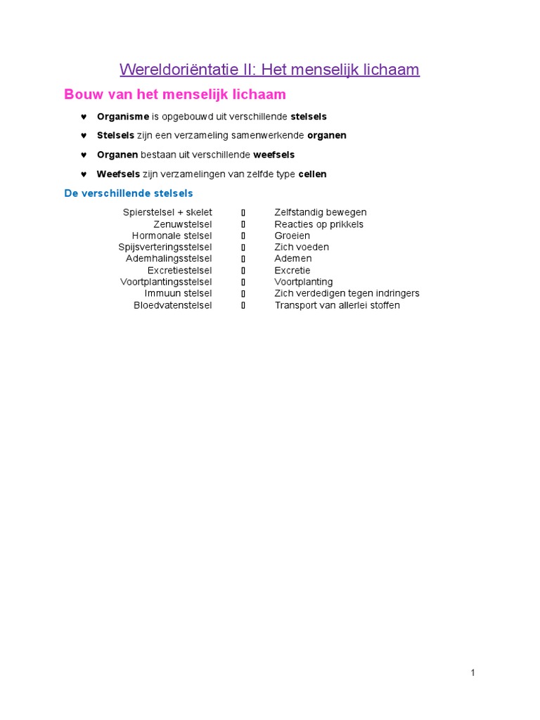 Wereldoriëntatie II Het Menselijk Lichaam | PDF