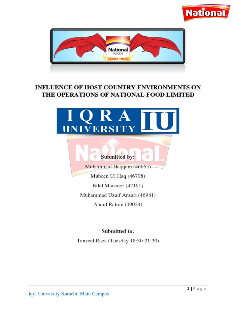 Ib Report Final | PDF | Market Segmentation | Supply Chain