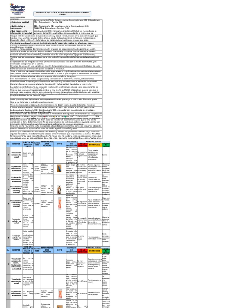 Protocolo Aplicacion IDII ABRIL 2023 | PDF