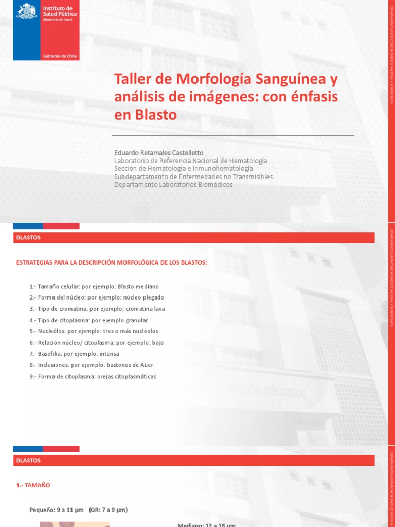 Características Morfológicas de Blastos | PDF | Citoplasma | Nucleo celular