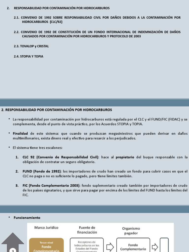 Bloque Ii Parte 1 2 Y 2 1 Pdf