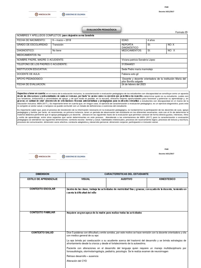 Formato Piar Completo 2023 Men | PDF | Educación de la primera infancia ...