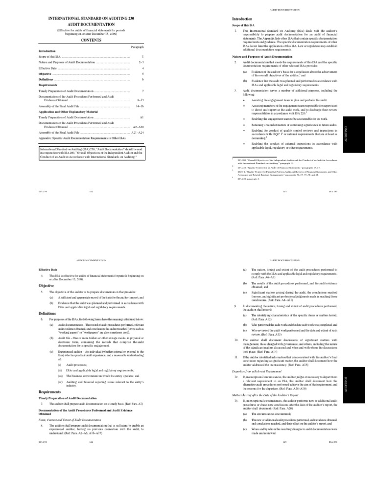 Microsoft Word - A011 2010 IAASB Handbook ISA 230 | PDF | Audit ...