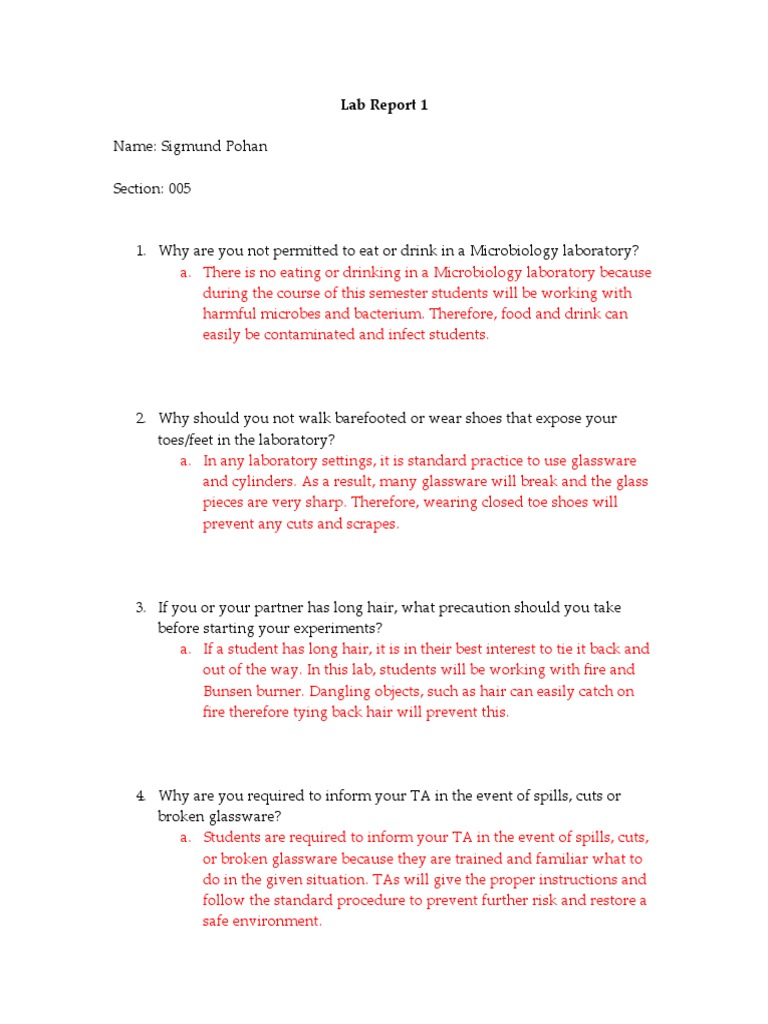 Lab Report - Safety | PDF