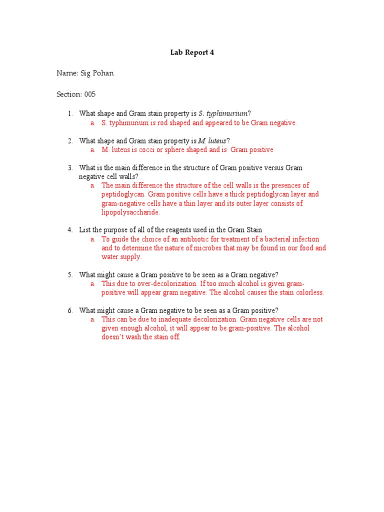 Lab Report - Gram Stain 4 | PDF