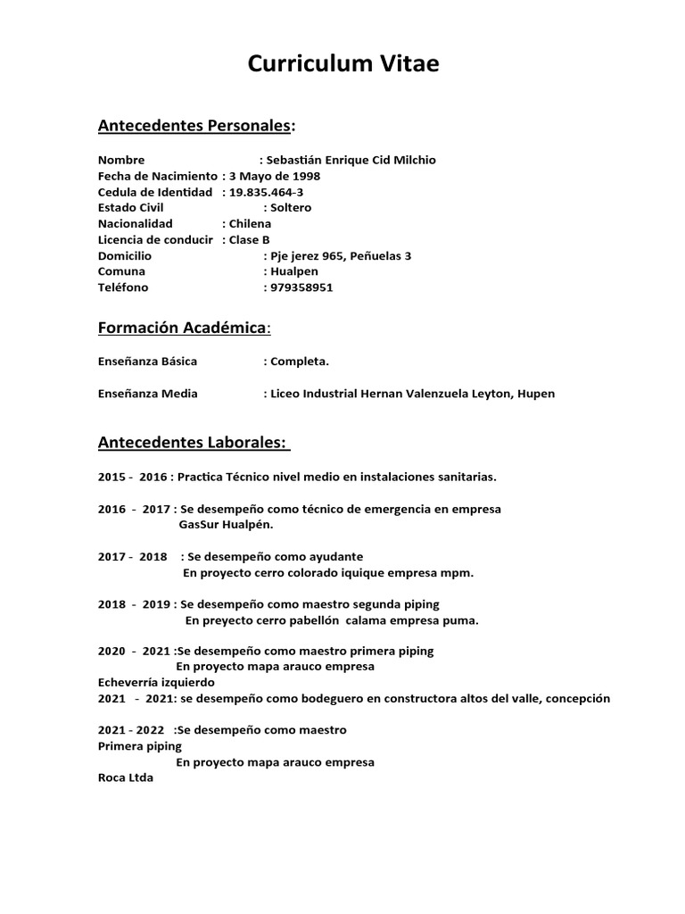 CV Actualizado de Sebastián Cid | PDF
