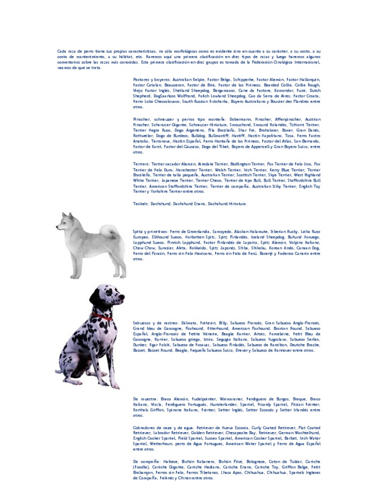 Características de Razas de Perros | PDF | Terriers | Animales de trabajo