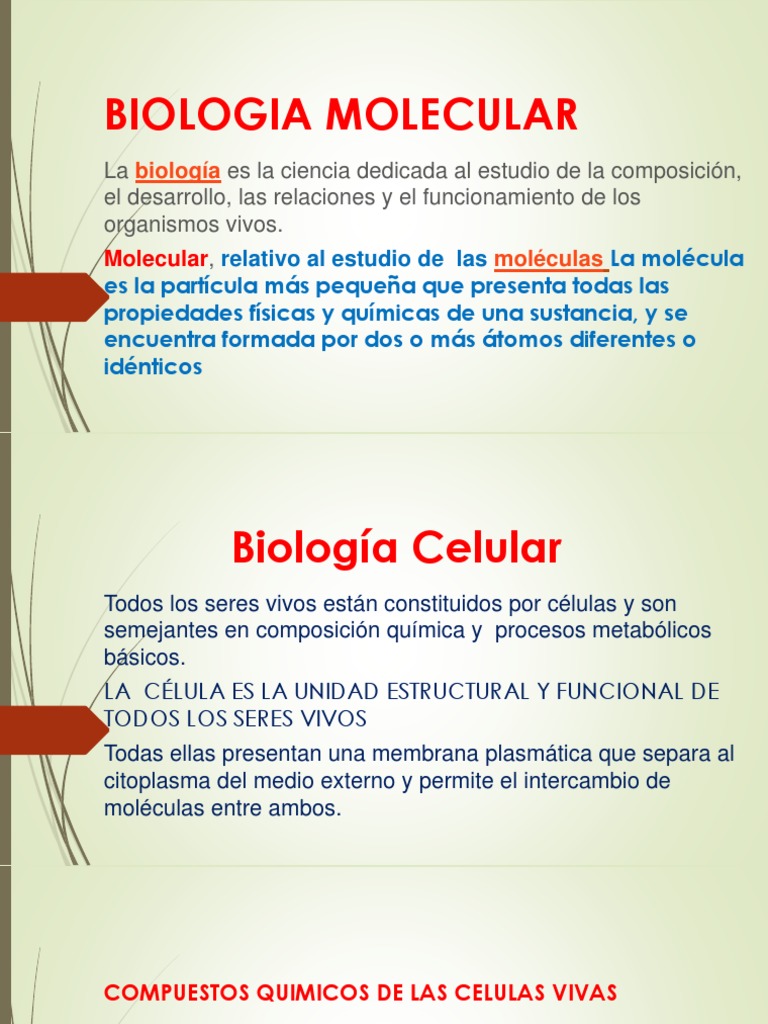 Biologia Molecular Definicion | PDF