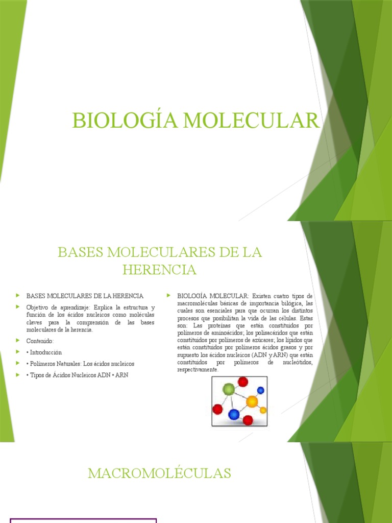 Biología Molecular | PDF | Adn | Nucleótidos