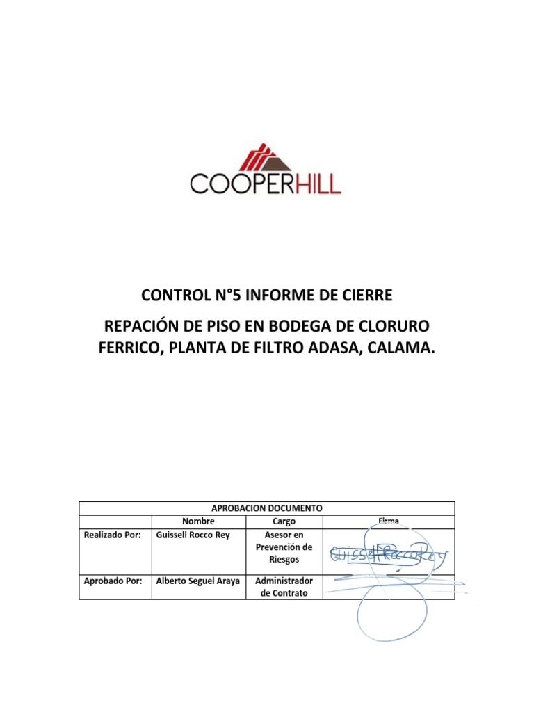 Informe de Cierre Adasa | PDF | Seguridad y salud ocupacional | Química