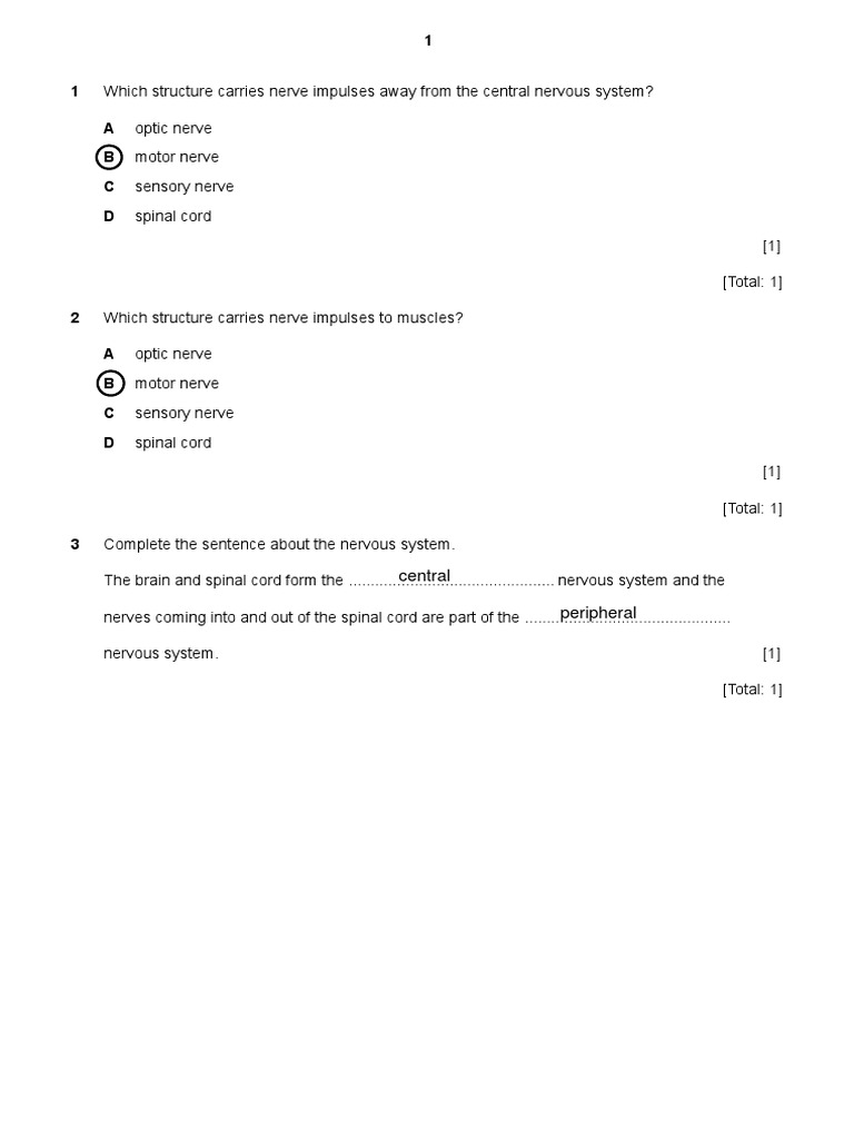 My Test | PDF | Nervous System | Neuron