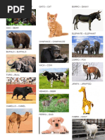 1000 Animals List | PDF | Zoology