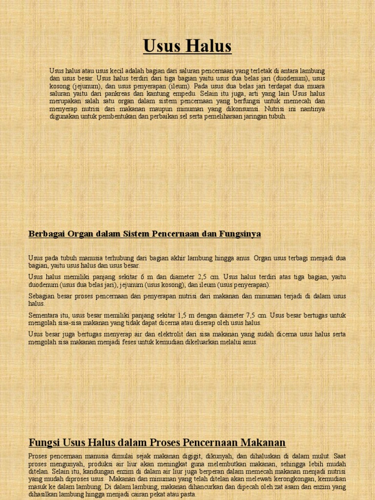 IPA Usus Halus | PDF