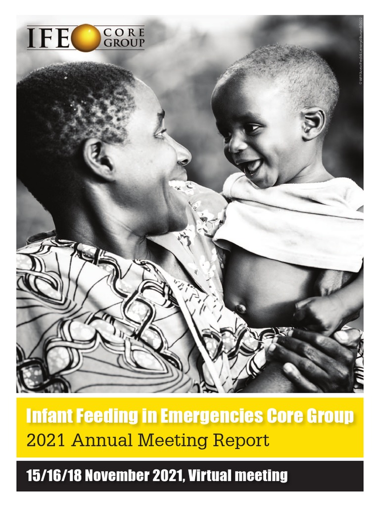 IFE Core Group Annual Meeting Report 2021 | PDF