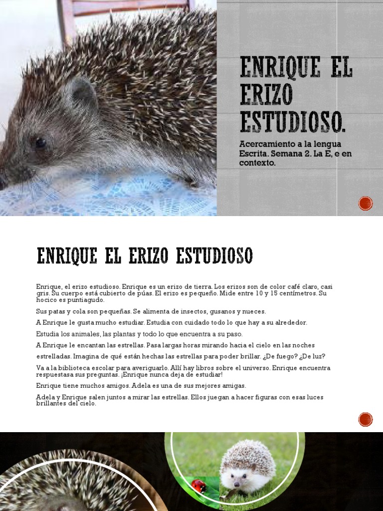 Enrique El Erizo Estudioso | PDF
