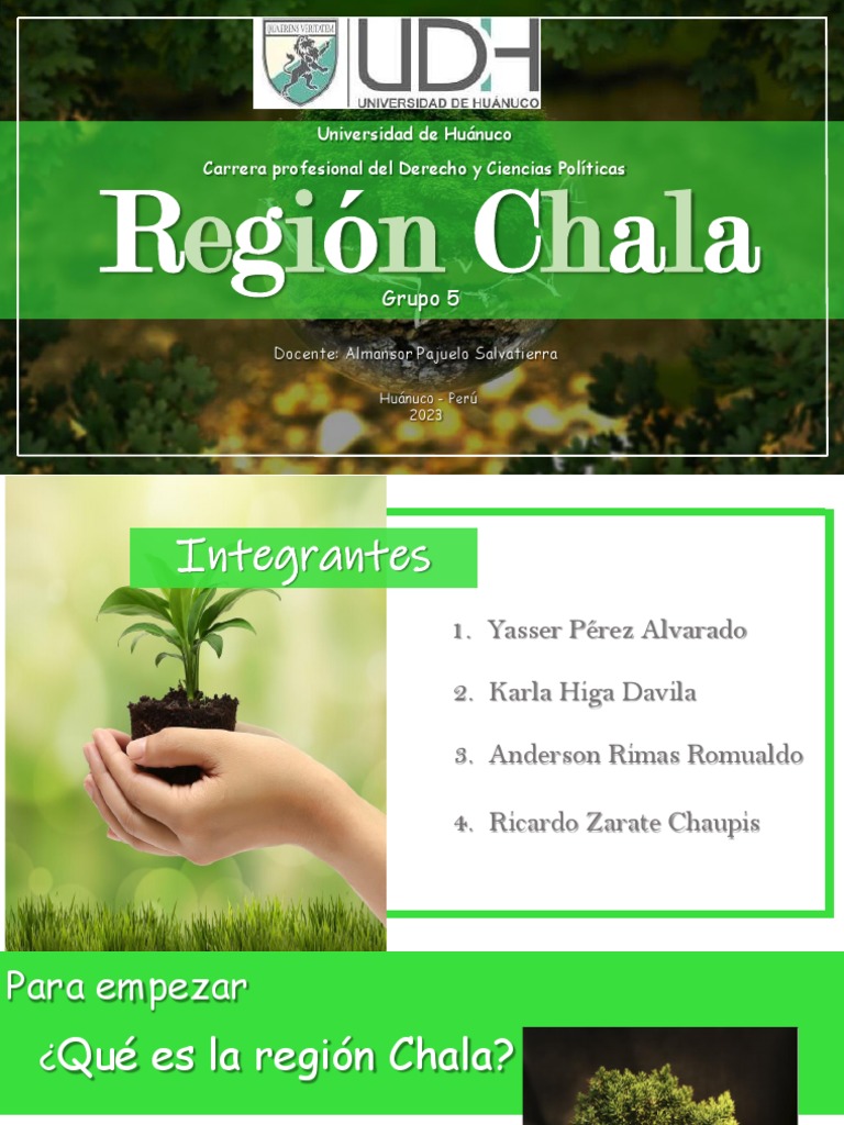 Region Chala | PDF | Geomorfología | Entorno natural