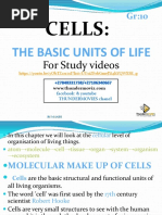 IX-5-The Fundamental Unit of Life | PDF | Cell (Biology) | Osmosis