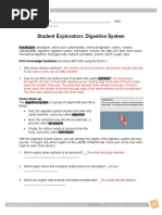 Digestive System GIZMO | PDF | Digestion | Small Intestine